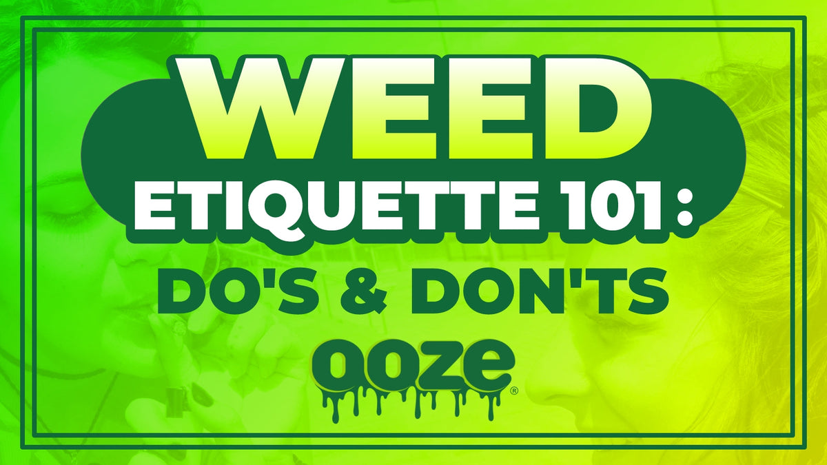 Weed Etiquette 101 - Common Stoner Dos and Don'ts | Ooze Life