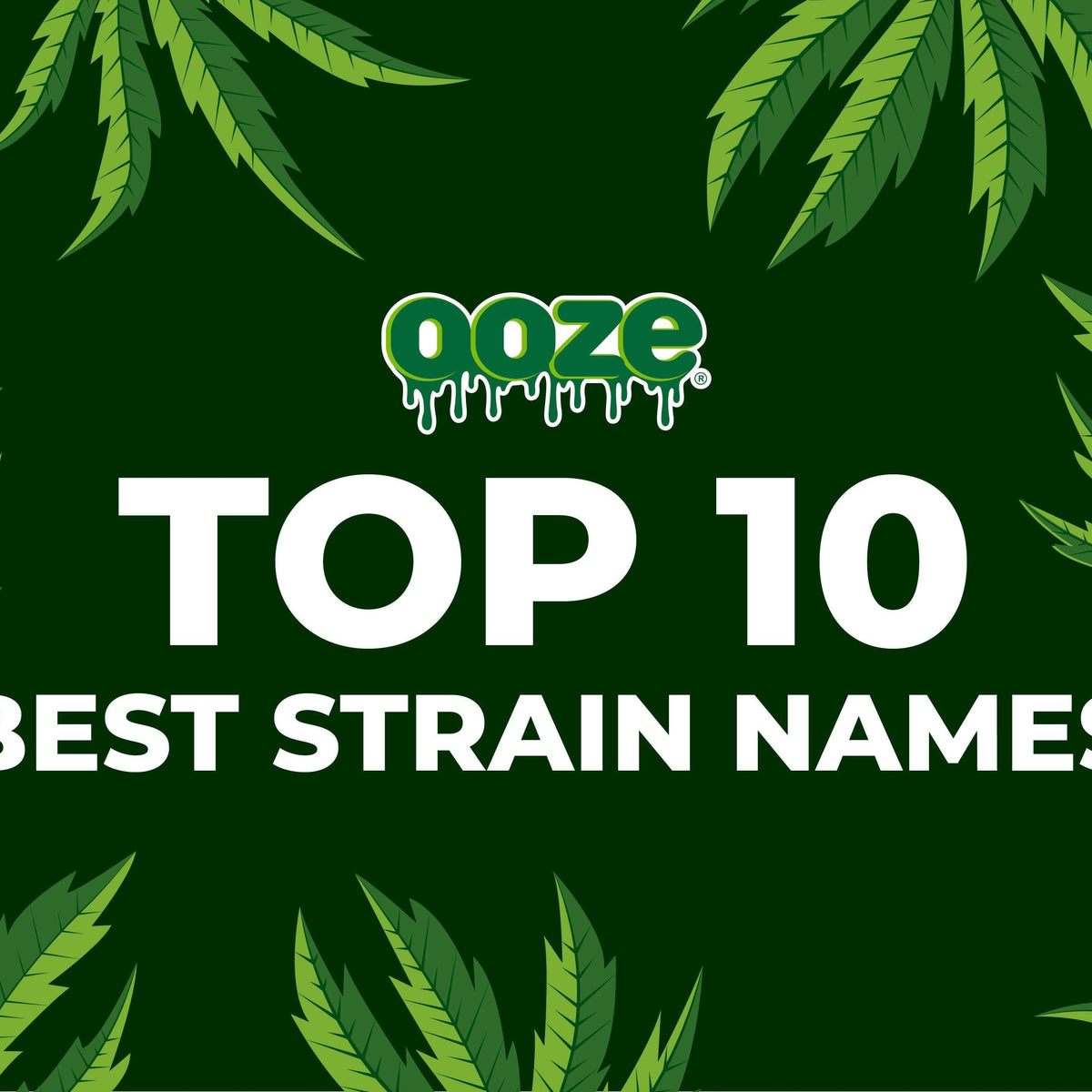 Top 10 Best Weed Strain Names - Our Rankings | Ooze Life