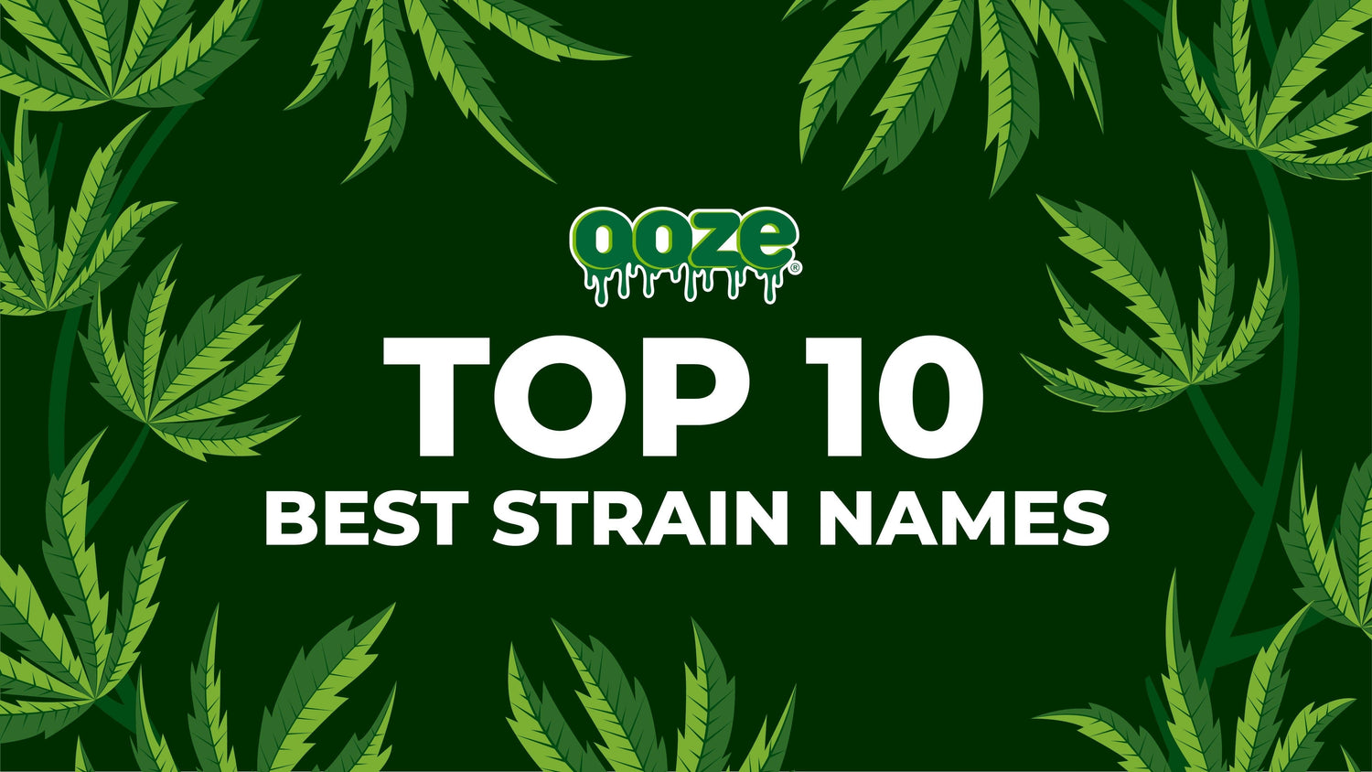Top 10 Best Cannabis Strain Names | Ooze Life Blog